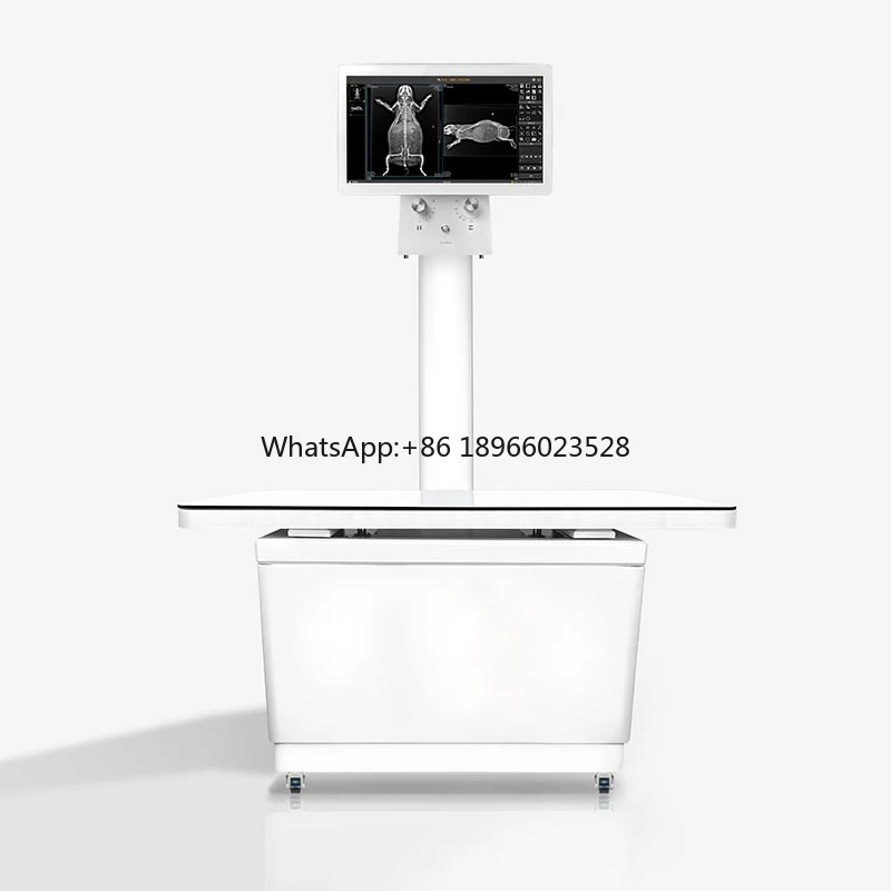Veterinary-Medical-Digital-Radiography-and-Fluroscopy-Dynamic-Dr-X-ray ...
