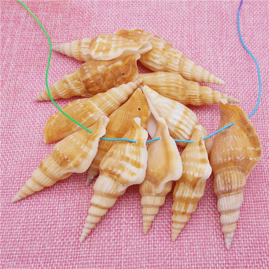 4PCS-Natural-Conch-Charms-With-Hole-Sea-Shell-Home-Decor-Craft-Handmade ...