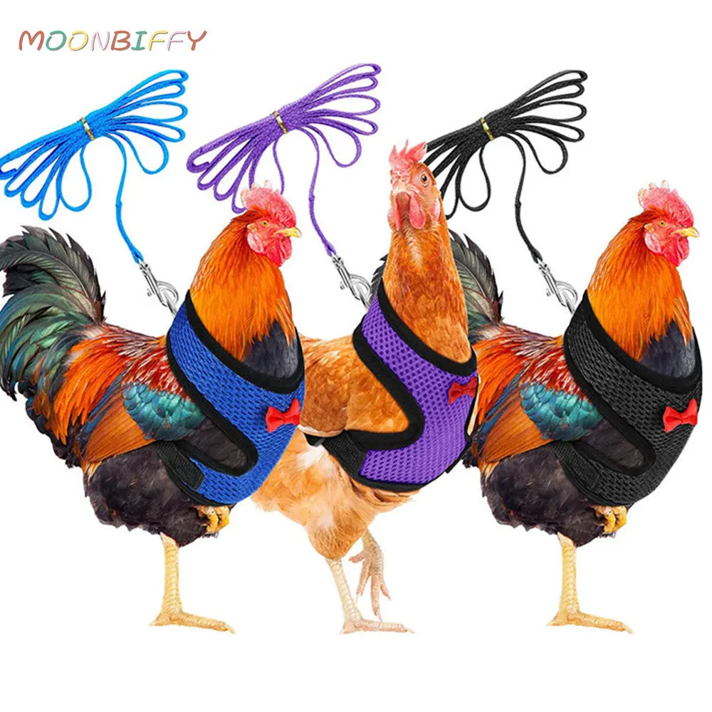 Adjustable Chicken Harness Leash Comfortable and Breathable Small Size ...