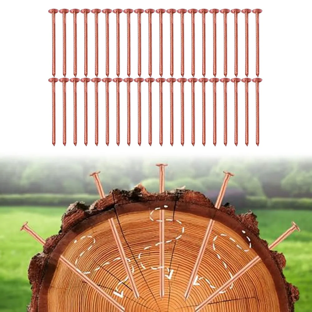 65/75mm Copper Nails For Killing Trees Stump Root Tree Stump Killer ...