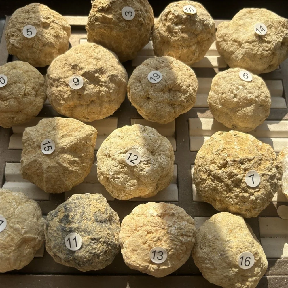 Wholesale-Geodes-Unopened-Natural-Agate-Geode-Real-Crystal-Specimen ...