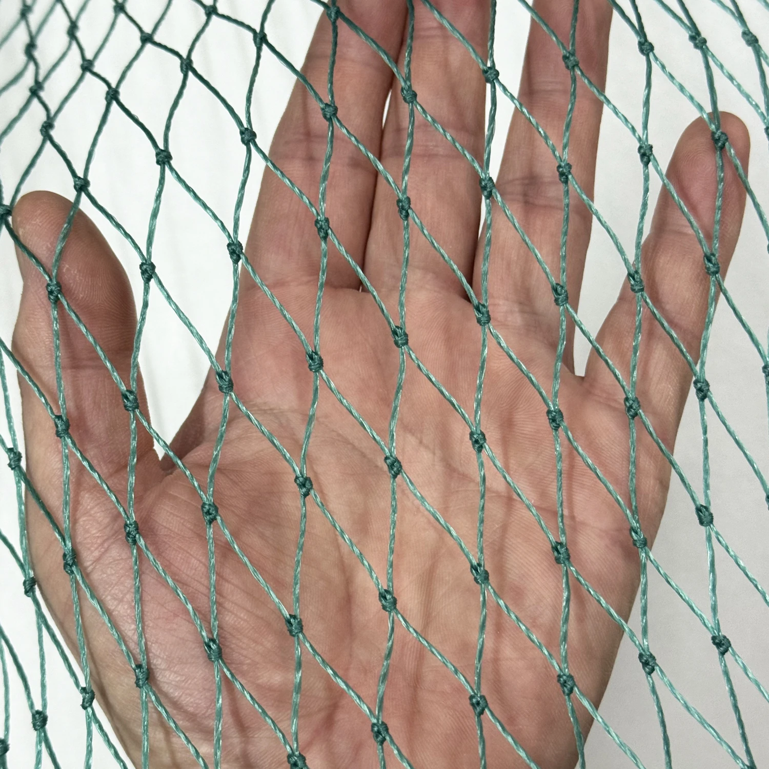 Store Home Products ChoiceDay Feedback