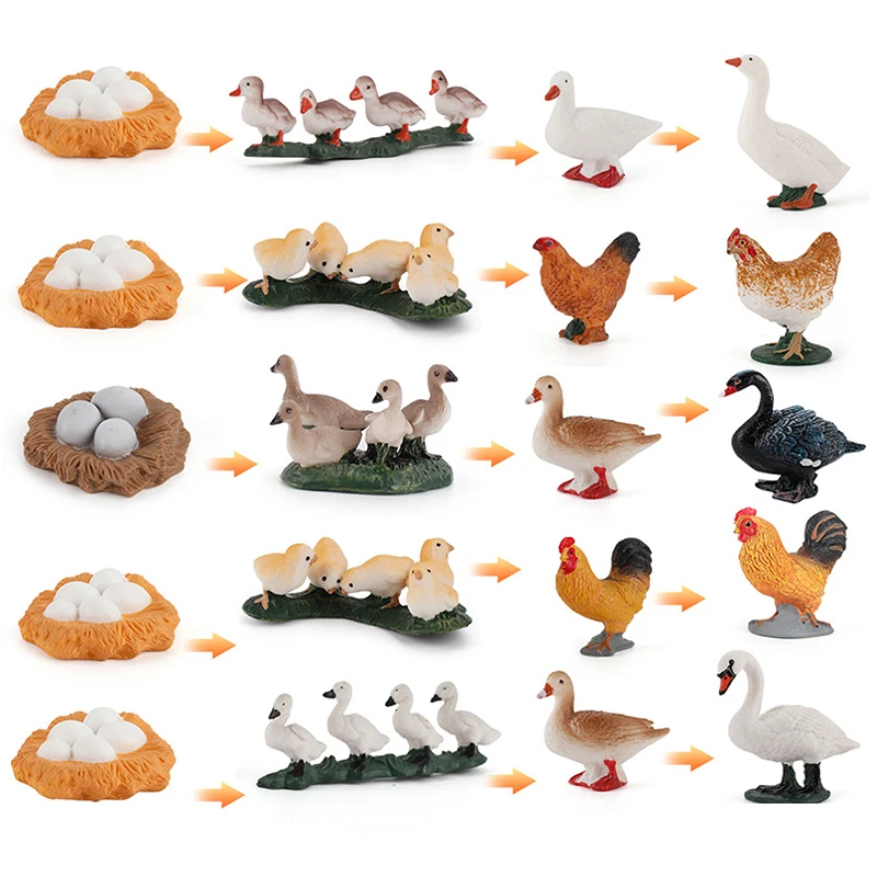 OozDec-Rooster-Duck-Cock-Hen-Simulation-Small-Animal-Model-Toy-Growth ...