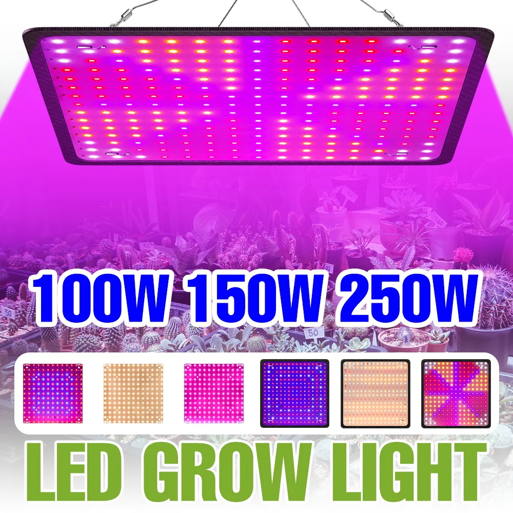 250W spectre complet élèvent la lumière LED panneau quantique plante ...