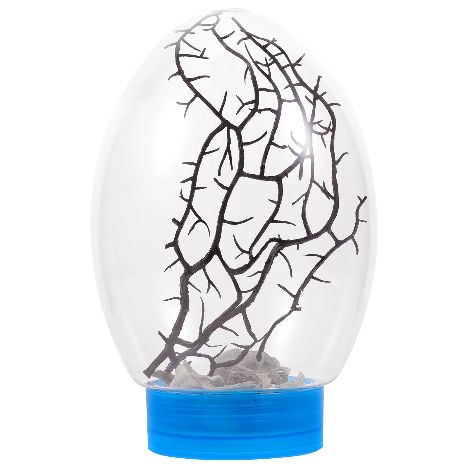 Fish-Tank-with-LED-Light-Desktop-Aquarium-Self-Sustaining-Ecosystem ...