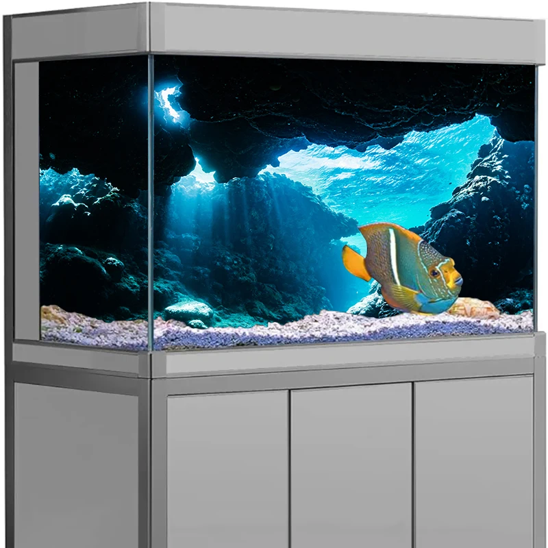 Hd Fish Tank