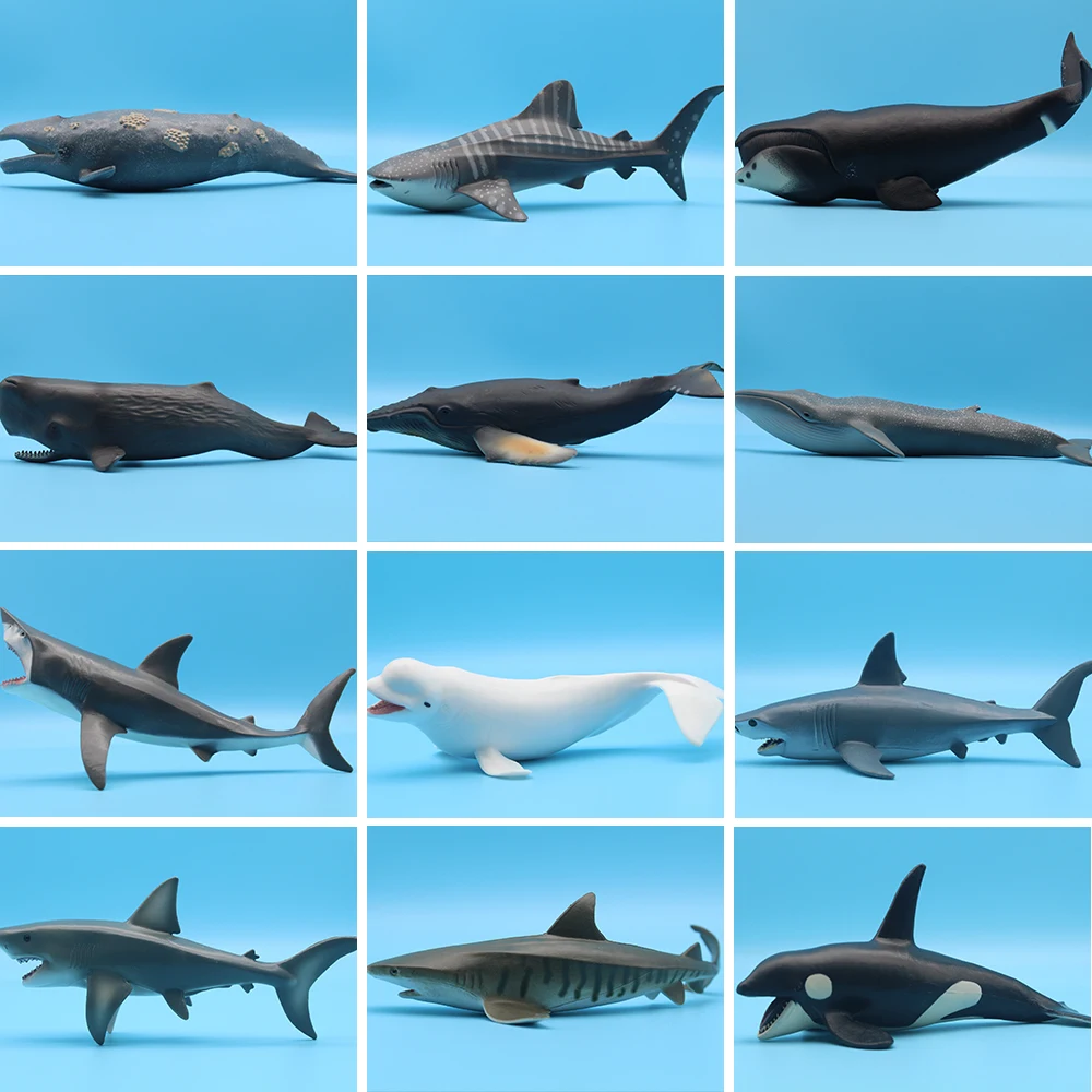 Ocean Sea Life Simulation Animal killer whale Bowhead Blue Whale Model ...