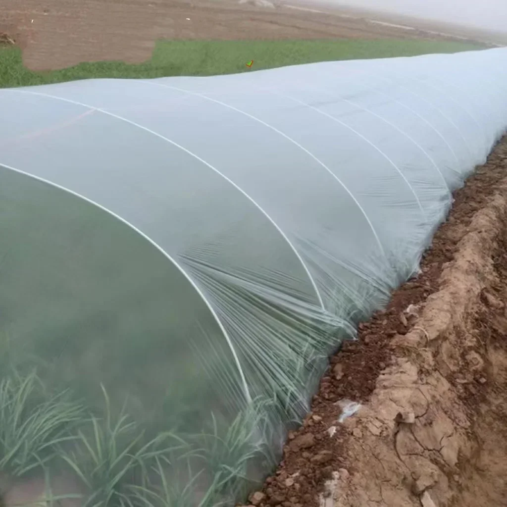 White Transparent Vegetable Greenhouse Film Vegetable Planting ...
