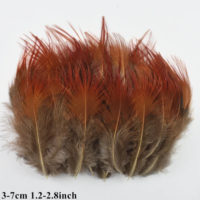 Natural Chicken Peacock Pheasant Feather Small Fly Tying Materials ...