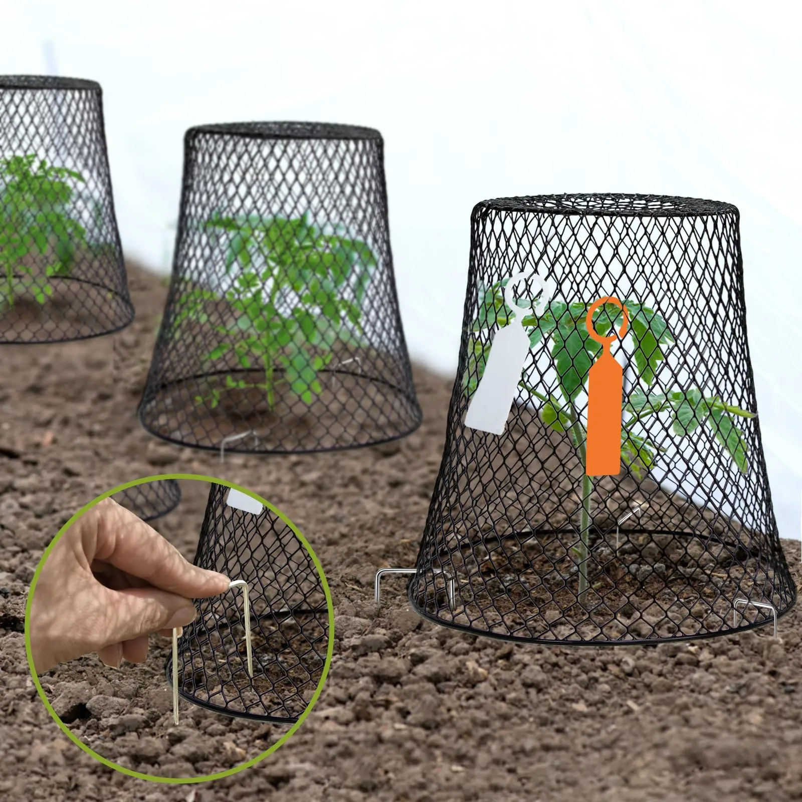 How to Effectively Protect Your Garden from Animals