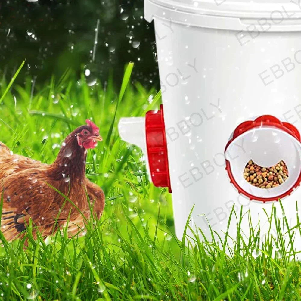 High Quality Chicken Feeder Poultry Feeder Port Rain Rodent Proof No ...