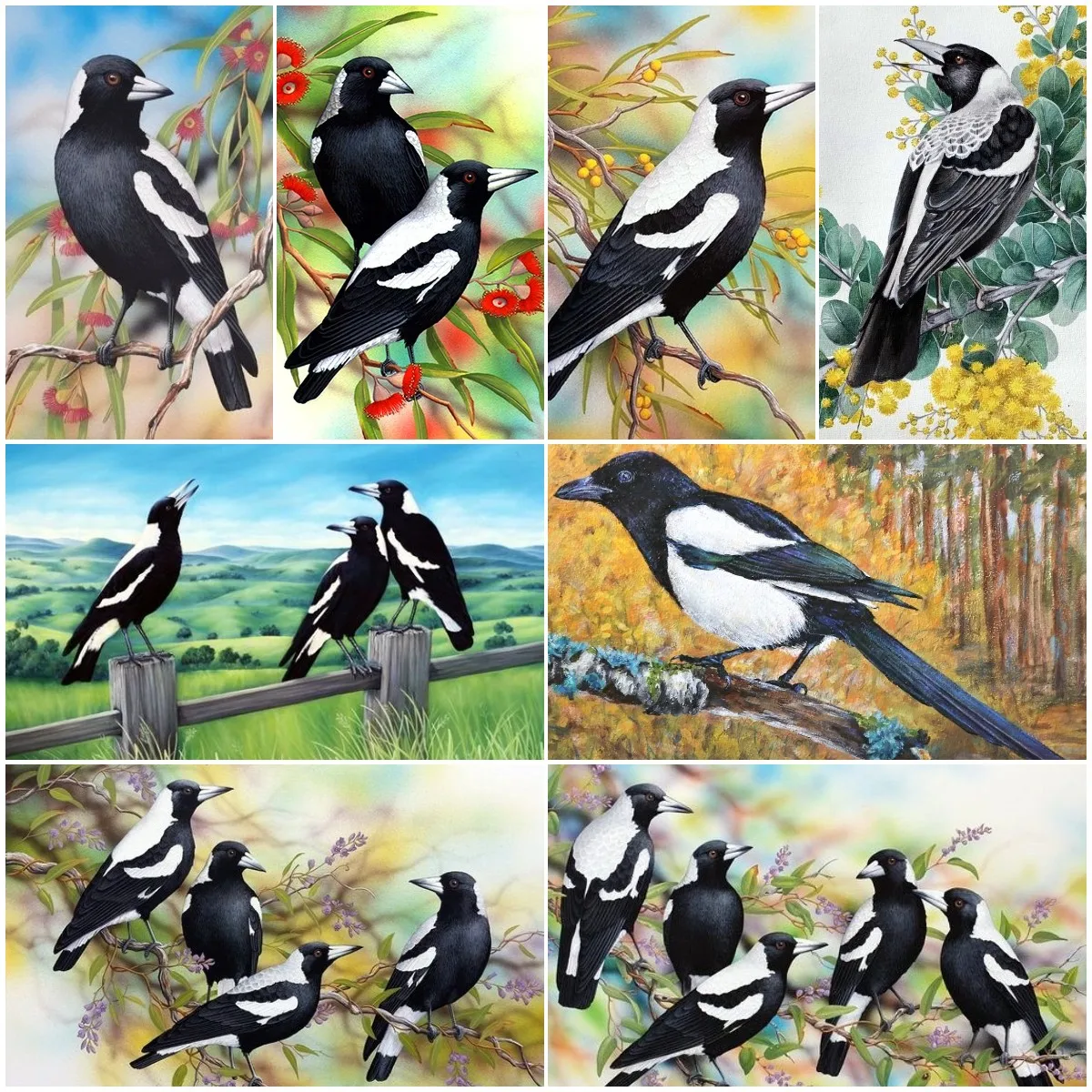 Diamond-Painting-of-Australian-Magpie-for-Home-Decoration-5D-DIY-Square ...