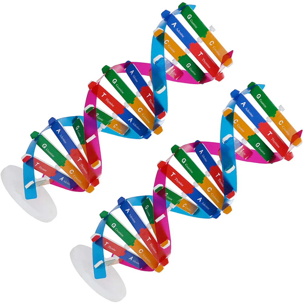 Dna Double Helix Model Png