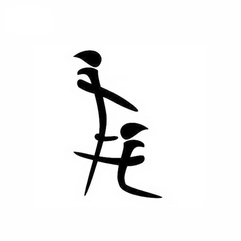 Chinese Character For Protector