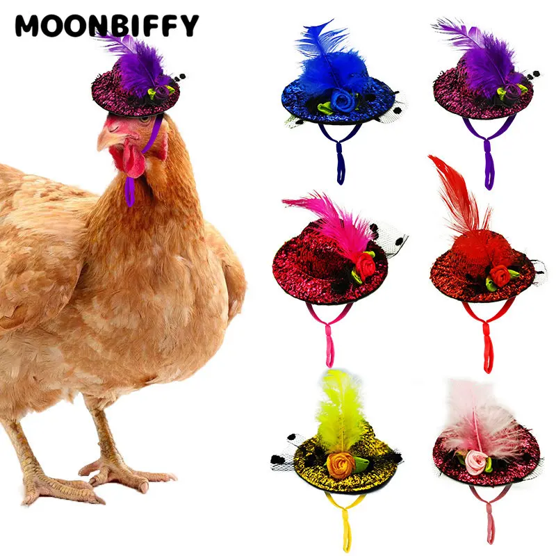 Sombrero-de-pollo-para-gallinas-y-mascotas-peque-as-accesorios ...