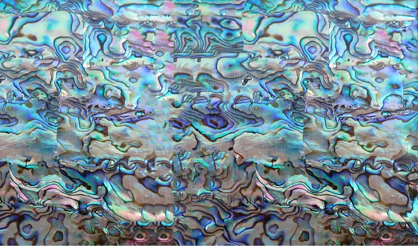 Abalone-shell-veneer-sheet-paua-slice-inlay-240x140x0-2mm-luthier ...