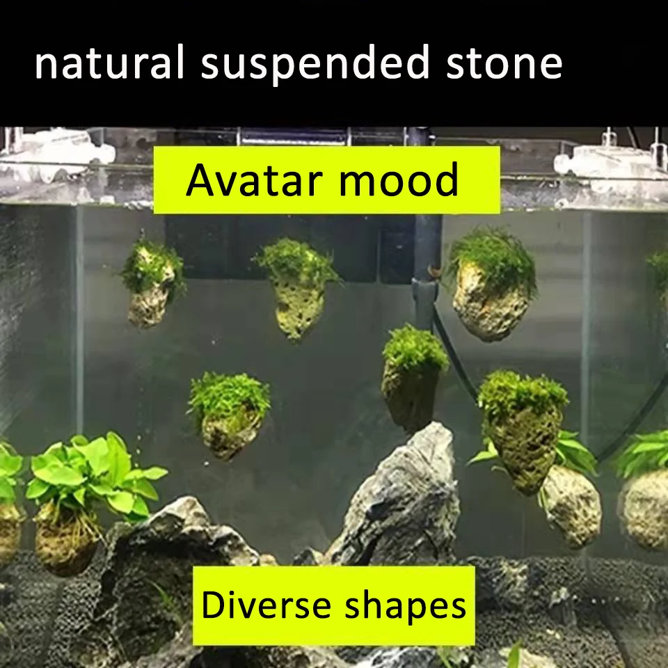 Fish Tank Suspended Stone with Moss Aquarium Decorative Aquatic Plants ...
