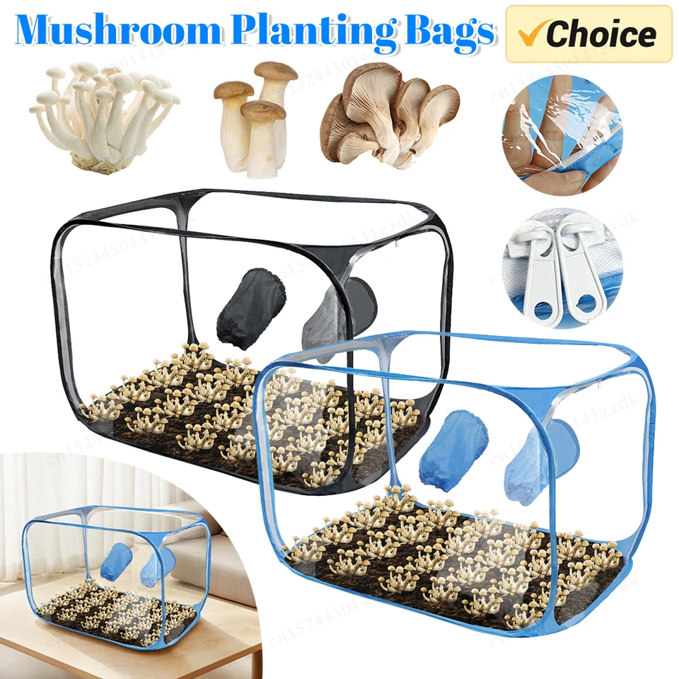 Mushroom Growing Still Air Box For Mushroom Planting Bag Mushroom Tent ...