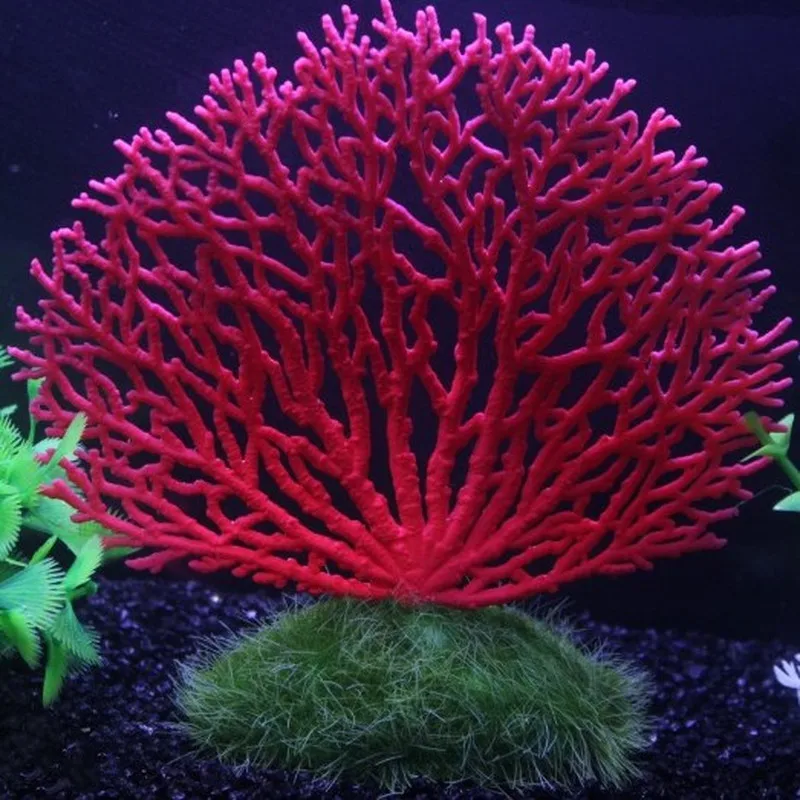 Red Coral Underwater