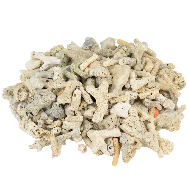 100g-250g-500g-Aquarium-Filter-Media-Natural-Coral-Bone-Biological ...