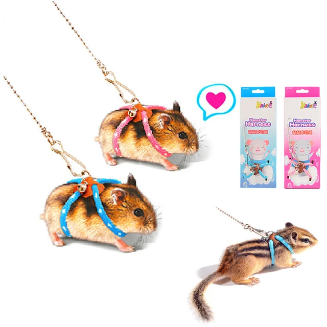 Hamster Leashes And Collars
