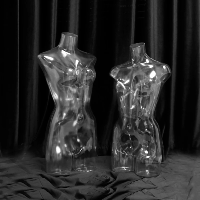 Transparent Female Half-Body Mannequin Torso Model Display for Panties ...