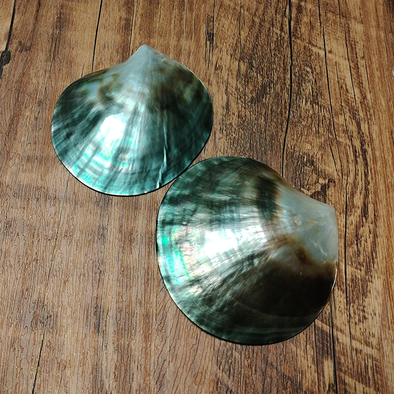 2-PC-Black-Mother-of-Pearl-Shells-Polished-Pinctada-Margarilifera-Sea ...
