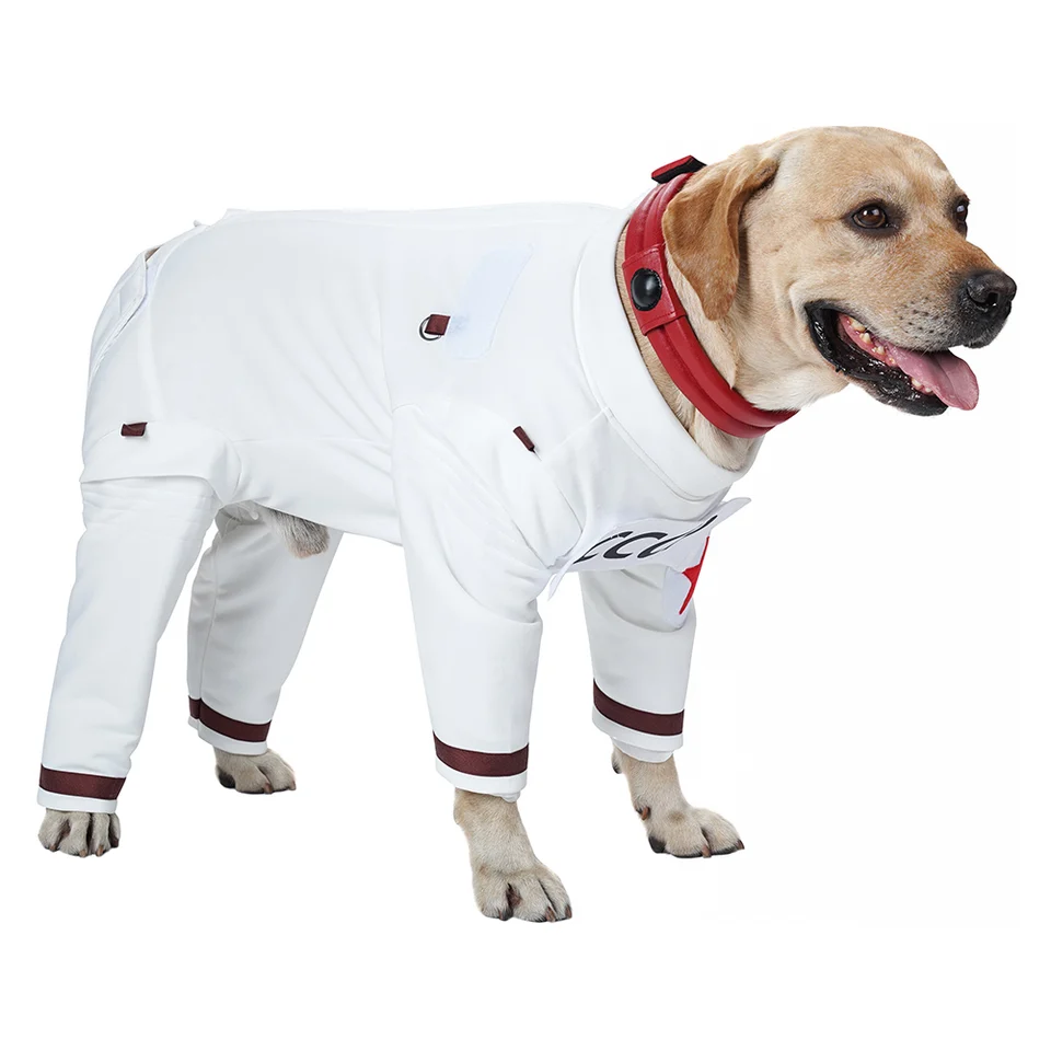 Trajes Espaciales Para Perros En Marte
