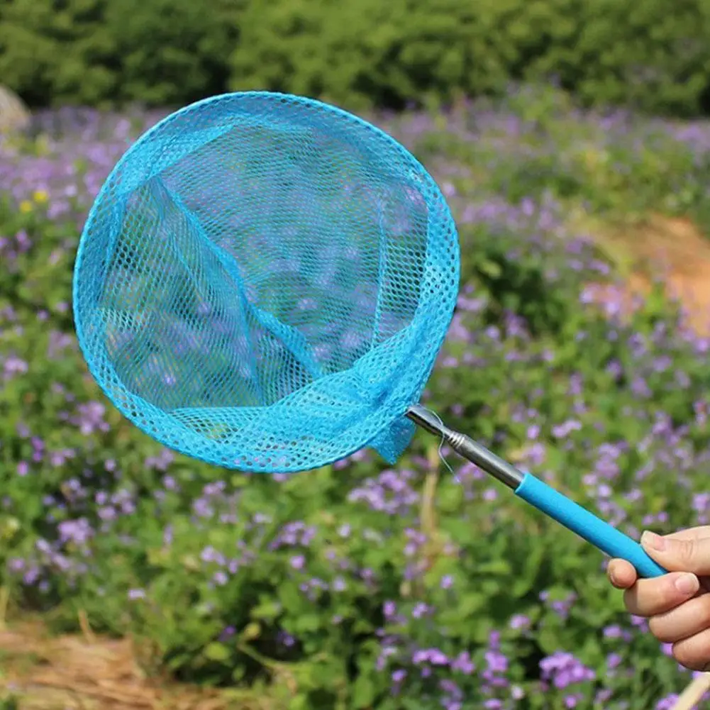 Stainless-Steel-Rod-Catch-Tadpole-Fish-Net-Kids-Outdoor-Insect ...