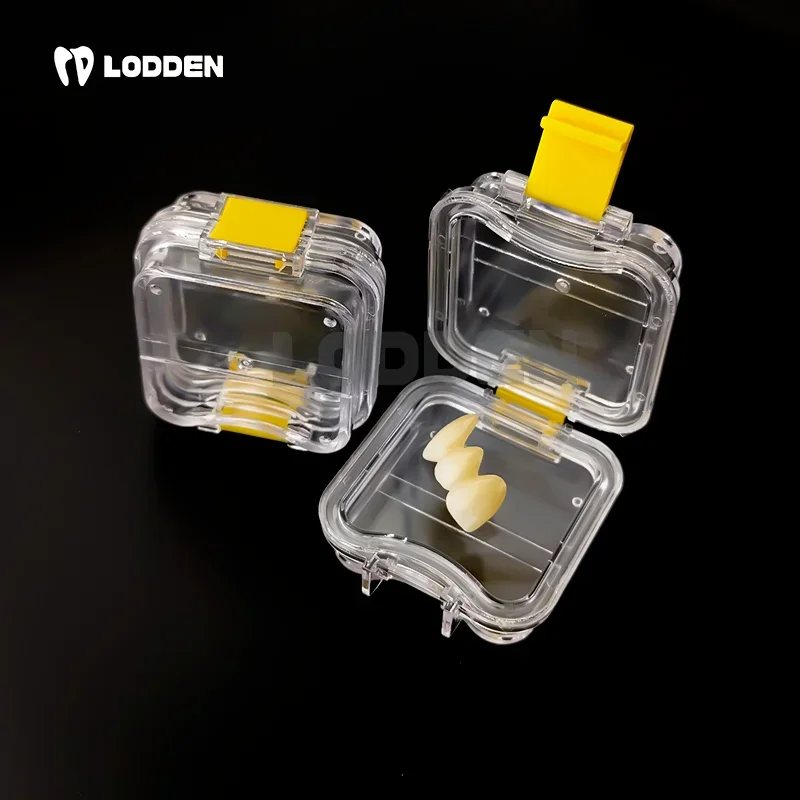 5-50PCS Denture Tooth Box Plastic False Tooth Case High Quality Dentist ...