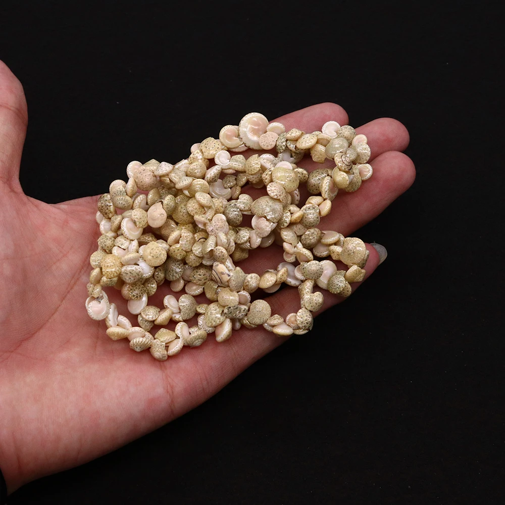 Natural Shell Brown Beads Cowrie Snail Shape Conch Charm Spiral ...