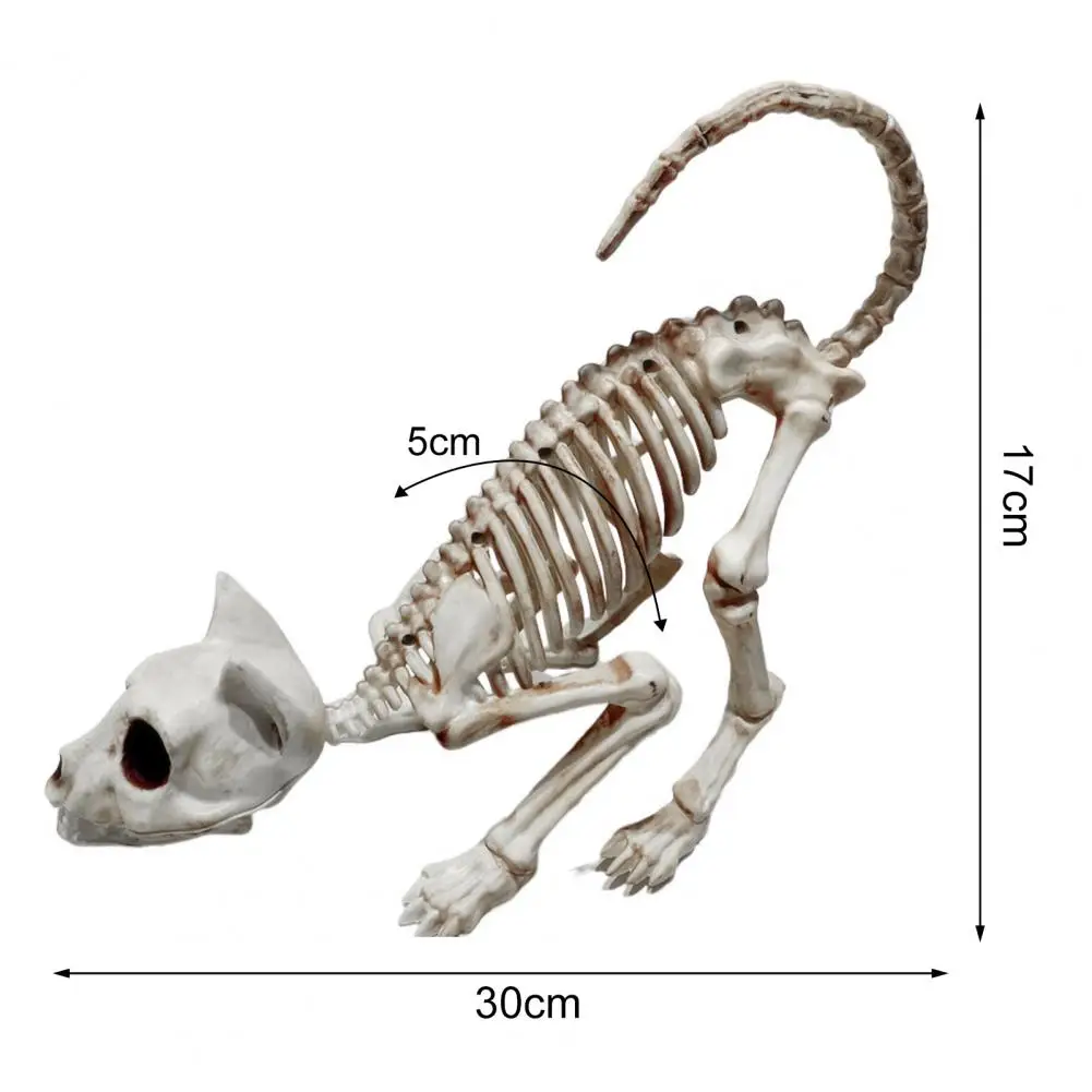Animali Raccapriccianti E Divertenti