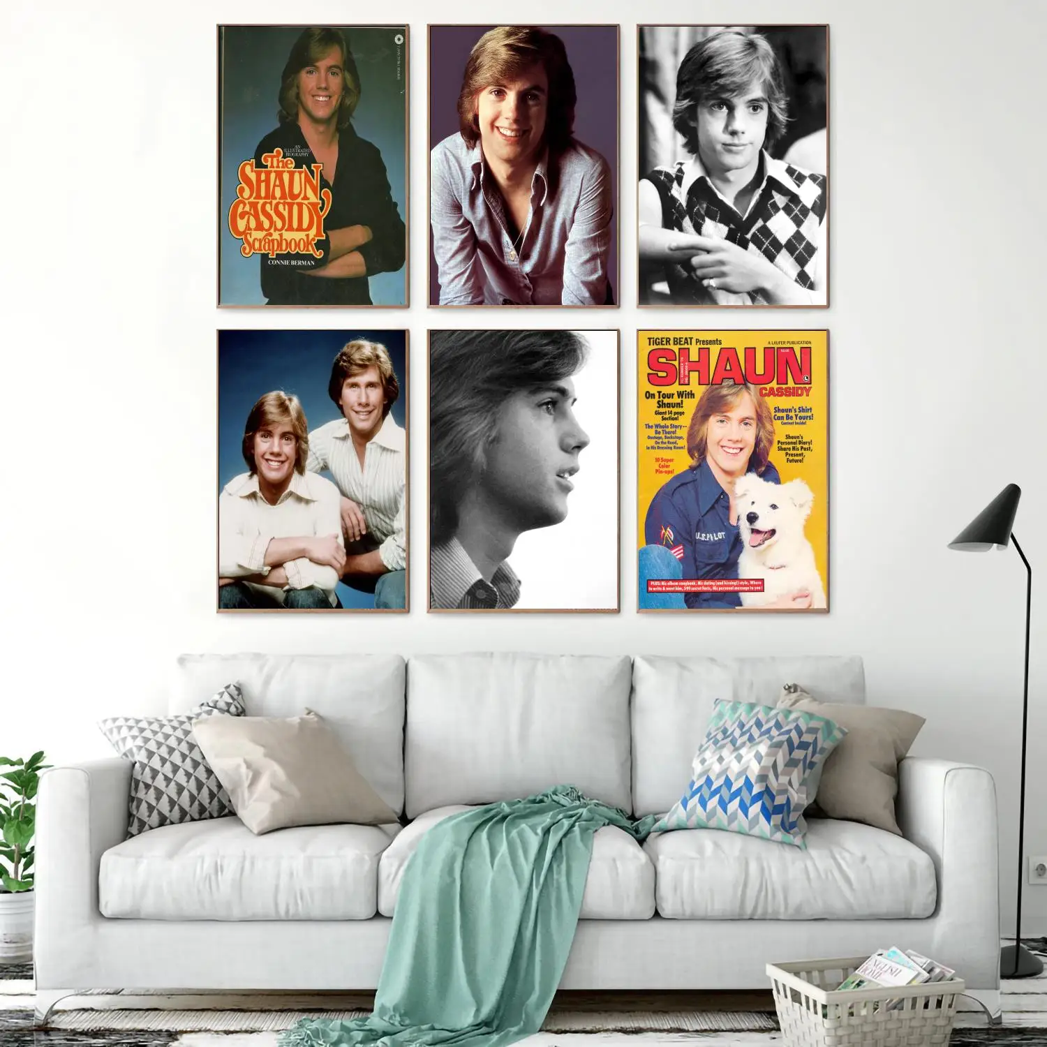 Shaun Cassidy Poster
