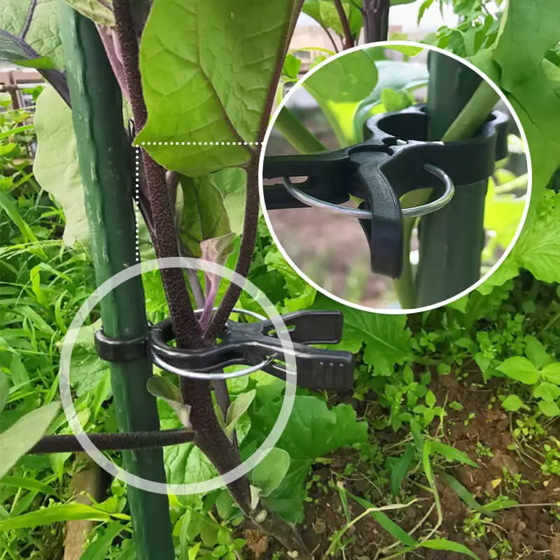 Garden-Climbing-Vines-Fixing-Clip-Green-Gentle-Flower-Lever-Loop ...