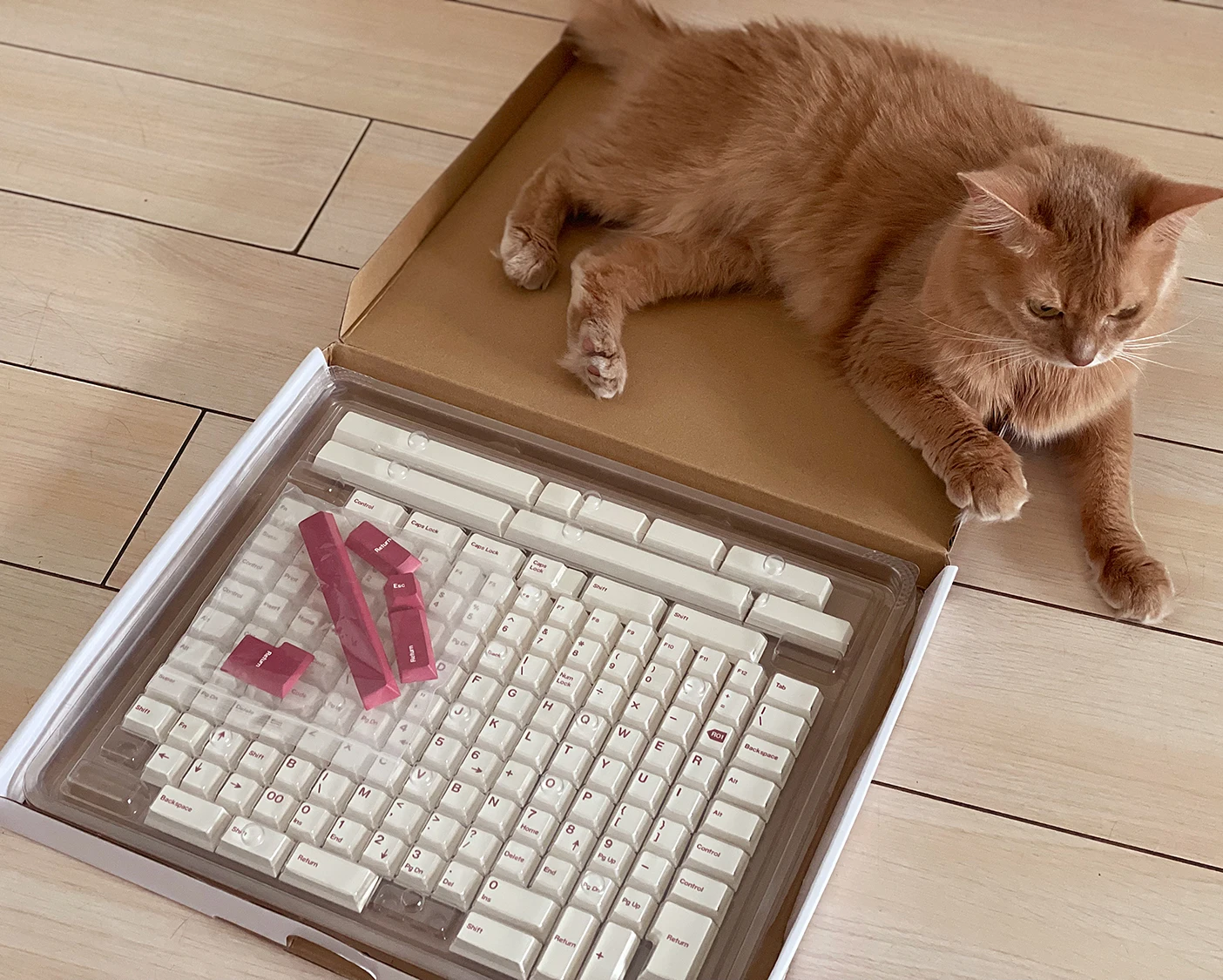 Keebox Shenpo Minimall Mechanical Keycaps Cherry Profile Full Set Pbt ...