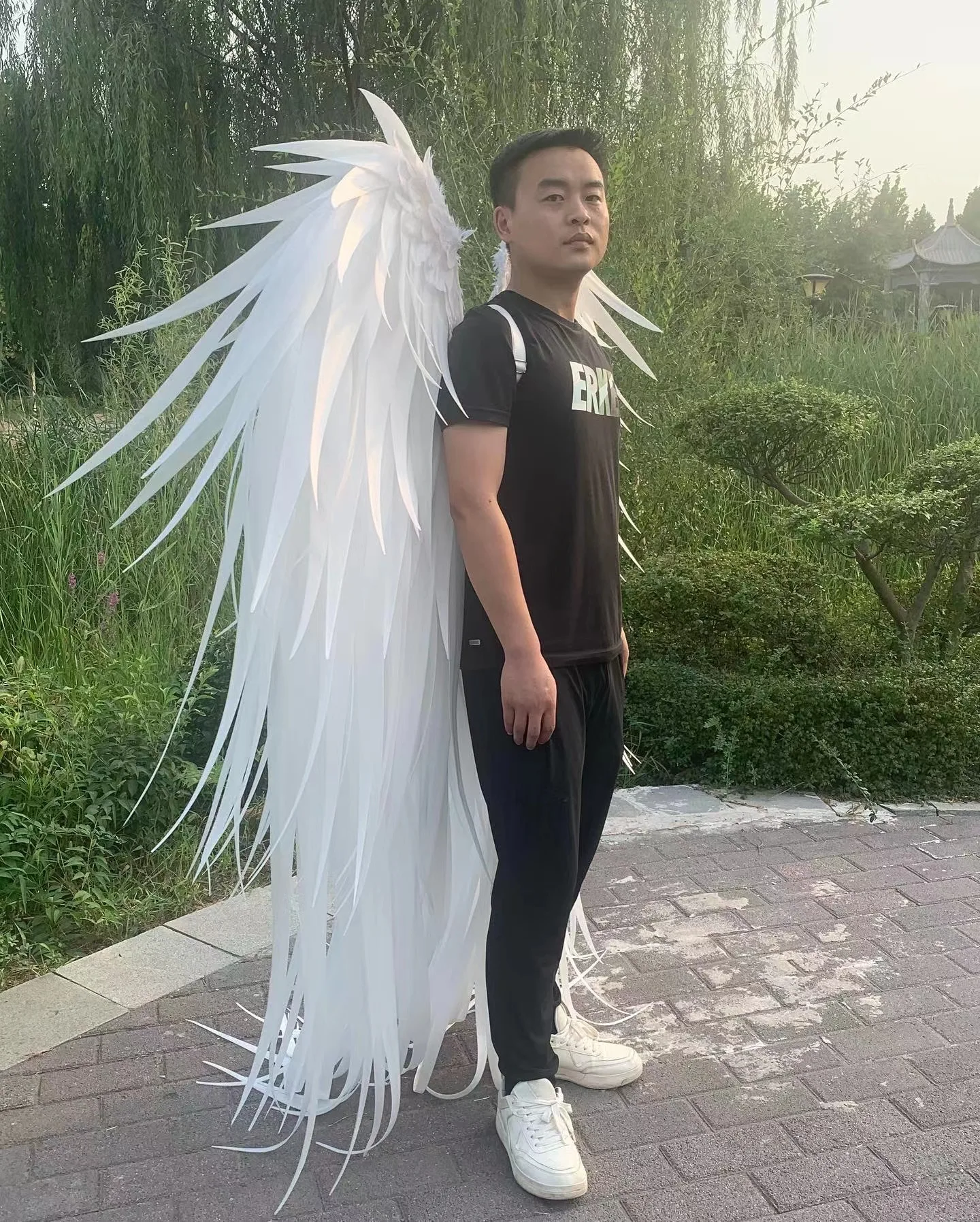 Angel Wings Costume