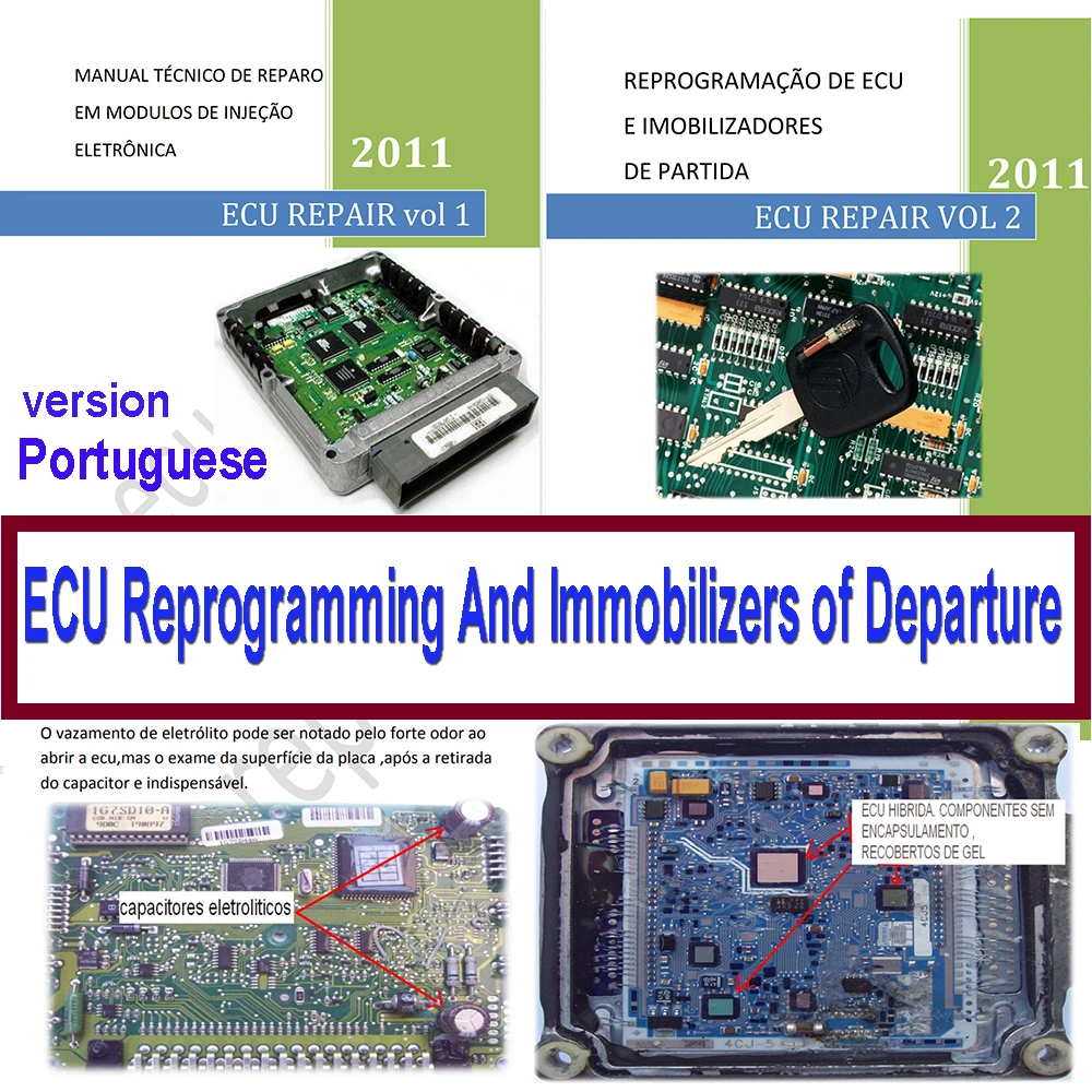 ECU-Reprogramming-And-Immobilizers-of-Departure-In-Portuguese-Reset ...