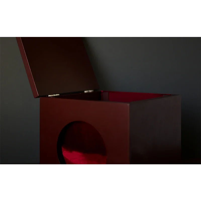 Dean-Box-Dean-Dill-Mentalism-Magic-Tricks-Linking-Ropes-And-Ring-Box ...