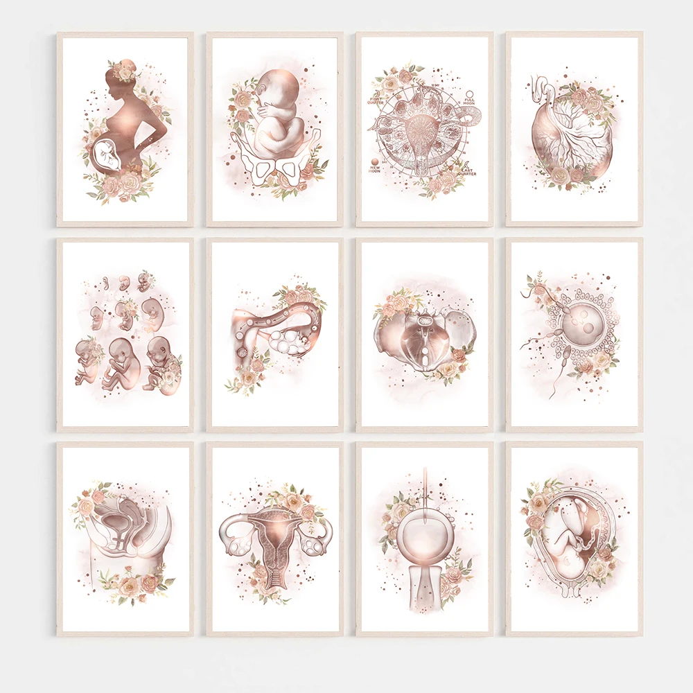 Pregnancy-Fetus-With-Flowers-Art-Prints-Medical-Education-Posters ...