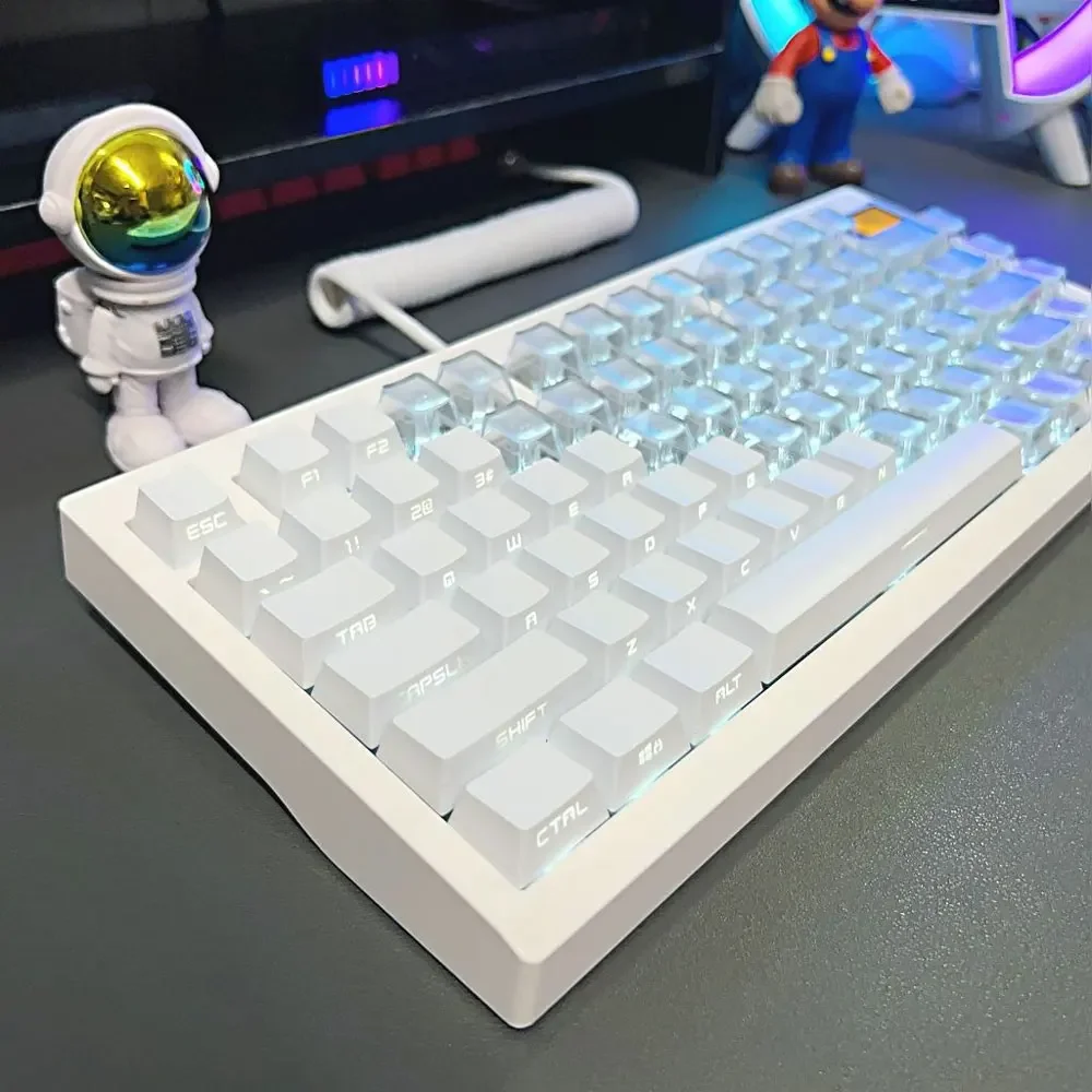 131-Keys-Side-Word-Transparency-No-Word-Keycaps-OEM-Height-PBT-Thermal ...