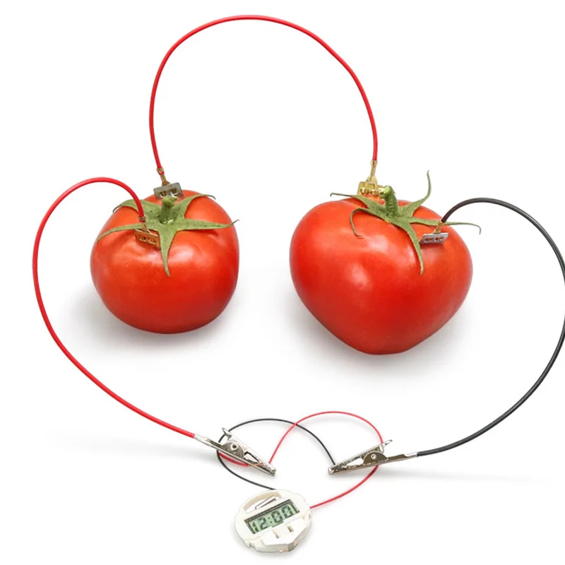 Energy-Science-Kit-Potato-Fruit-Supply-Electricity-Experiments-Kids ...