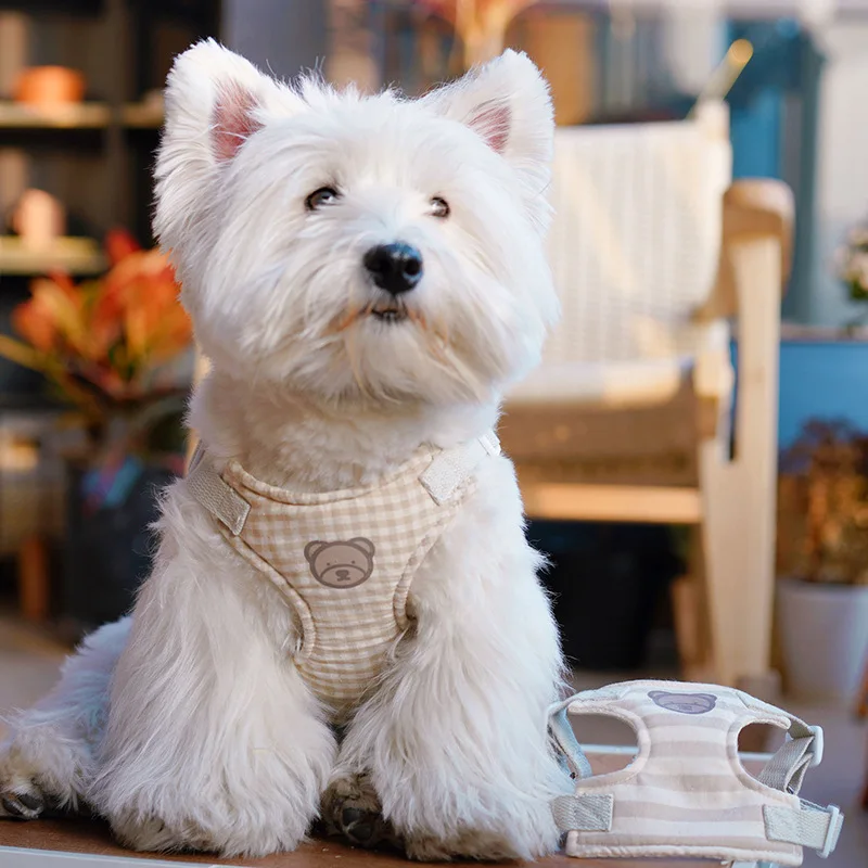 Korea-INS-Dog-Harness-and-Leash-Cute-Bear-Printing-Plaid-Stiped ...