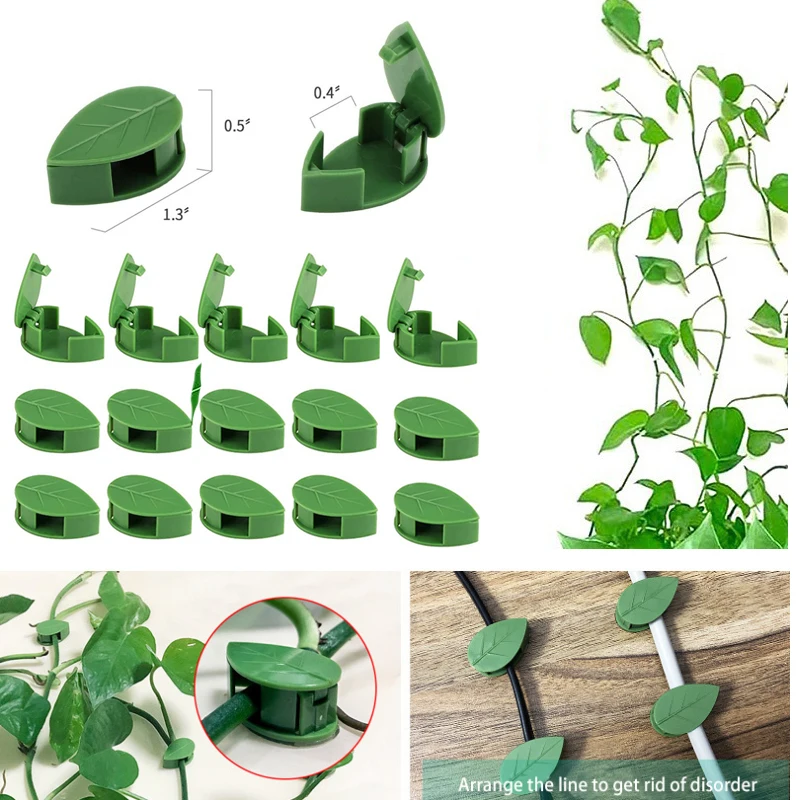 Invisible Plant Climbing Wall Fixture Rattan Vine Bracket Fixed Buckle ...