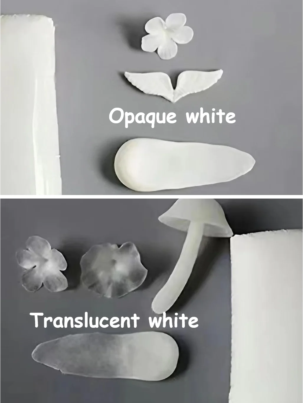 Store Home Products Feedback