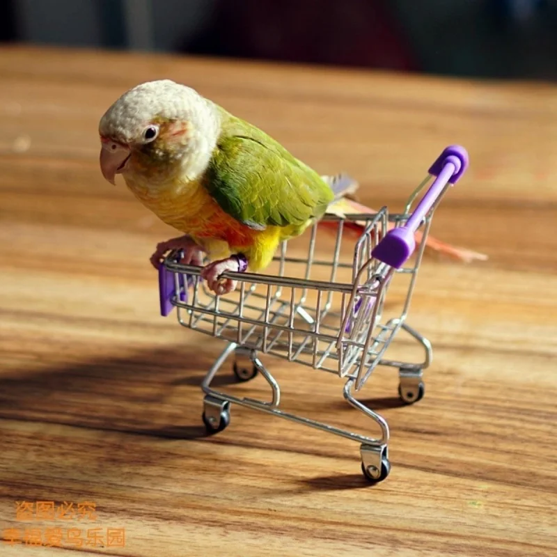 1-pc-Random-Color-Parrot-Mini-Shopping-Cart-Toy-for-Bird-Parrot-Funny ...