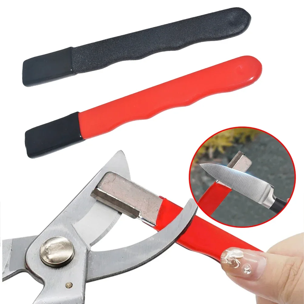 Pleasurable Shopping Day Store