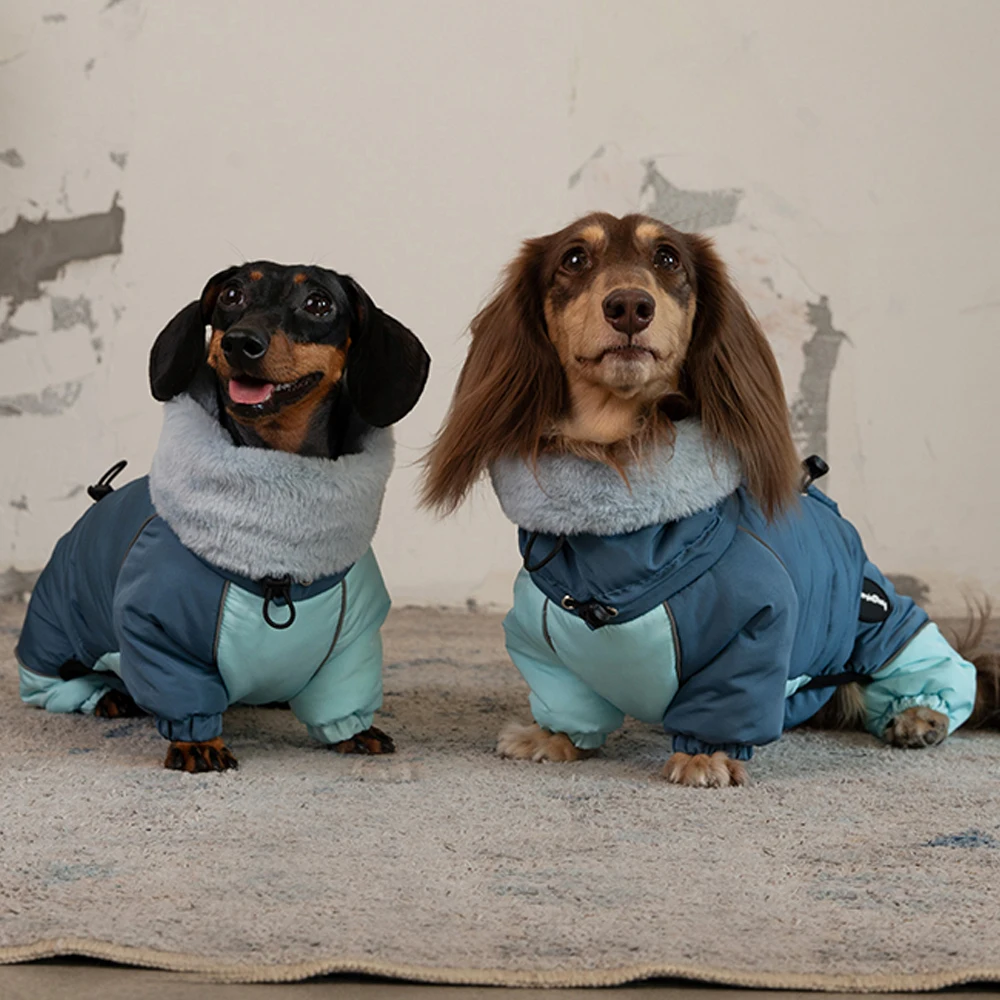 Thick Down Coat for Wiener Dogs in Winter Windproof Warm 4-Legged Mink ...