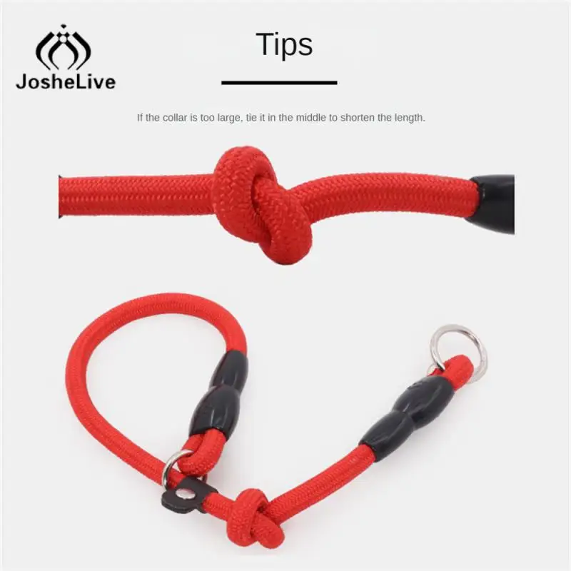 Nylon Rope Training Dog Collar,No Pull Round Martingale Collar,Slip ...