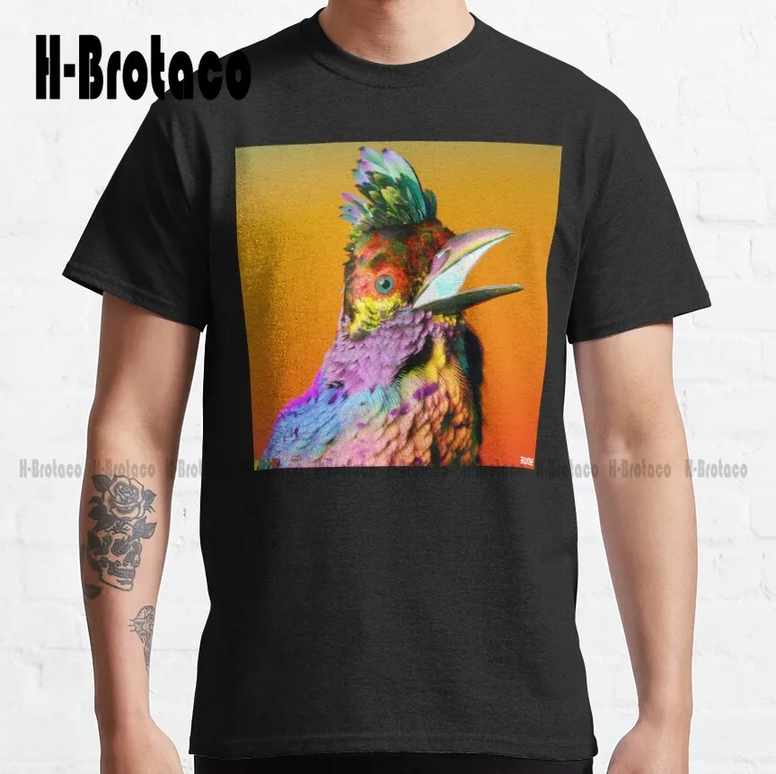 Flume Classic T-Shirt Custom Aldult Teen Unisex Digital Printing Tee ...