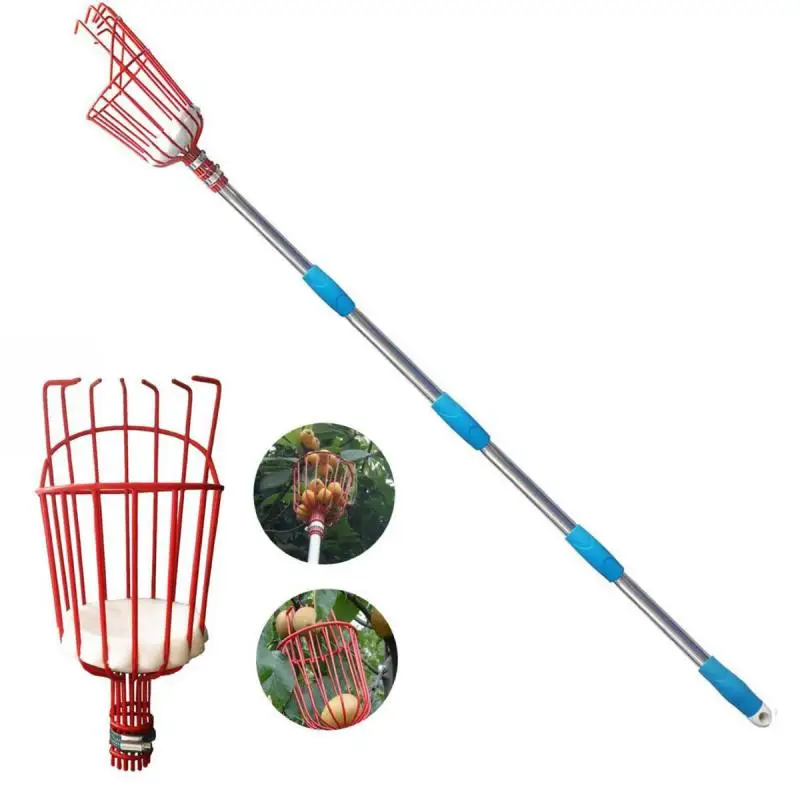 Garden-Basket-Fruit-Picker-Head-with-Telescopic-Extendable-Pole-Fruit ...